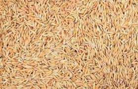 BULK BROWN RICE (SURINAME) – Grocery Shopping Online Jamaica